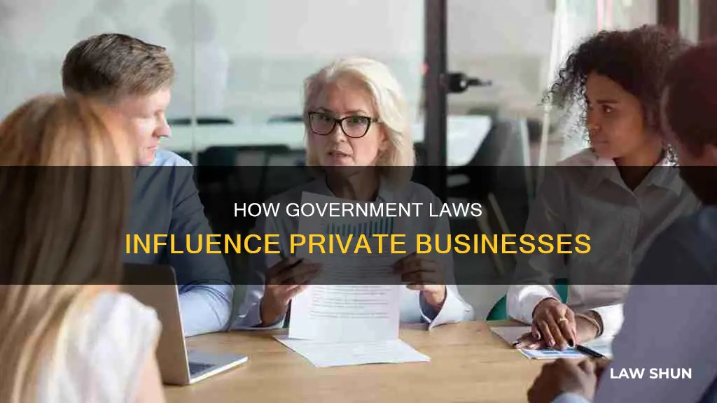 How Government Laws Influence Private Businesses | LawShun