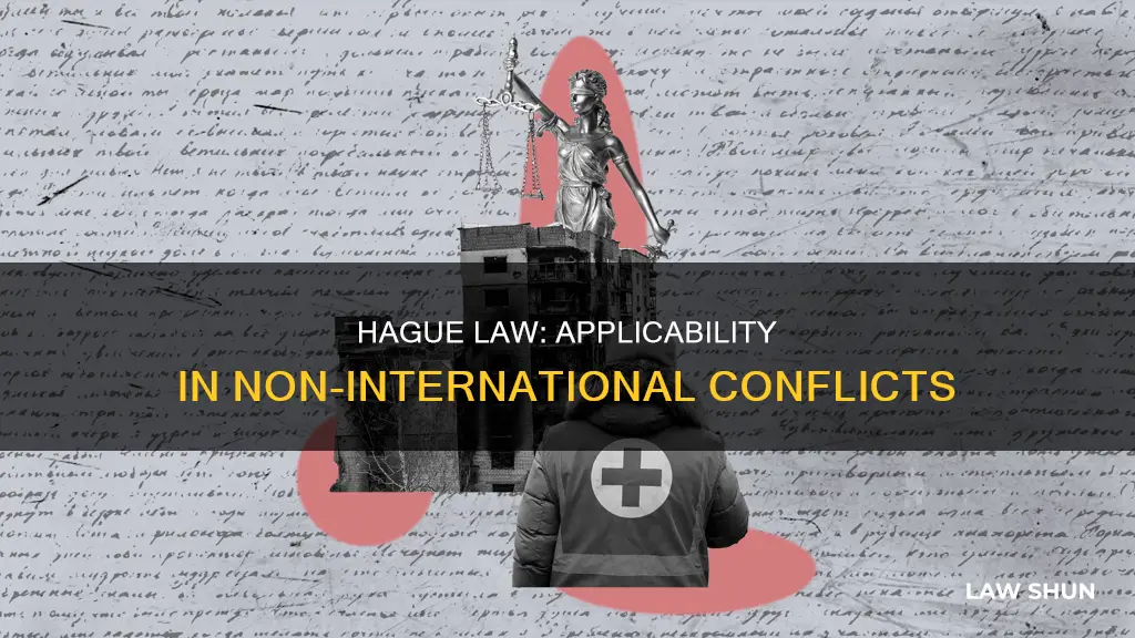 Hague Law: Applicability In Non-International Conflicts | LawShun
