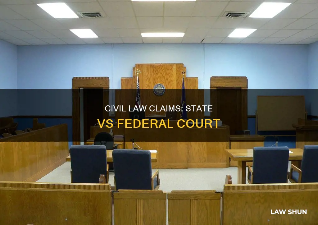 Civil Law Claims: State Vs Federal Court | LawShun