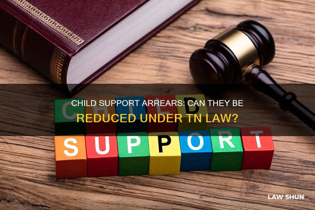 Child Support Arrears: Can They Be Reduced Under Tn Law? | LawShun