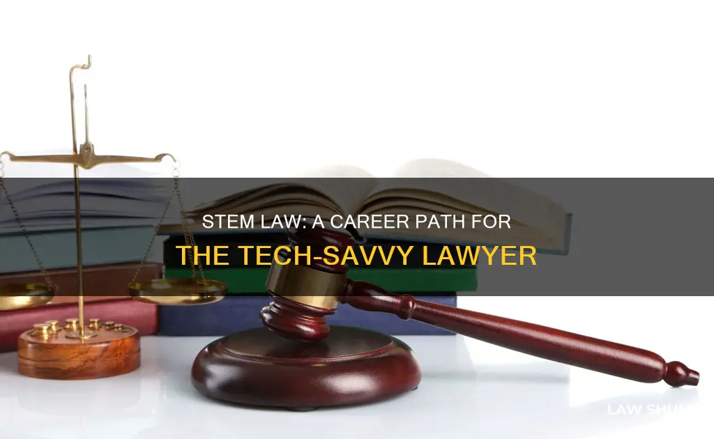 Stem Law: A Career Path For The Tech-Savvy Lawyer | LawShun