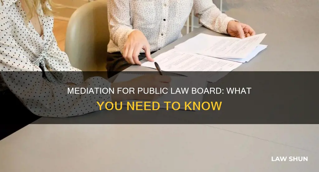 Mediation For Public Law Board: What You Need To Know | LawShun