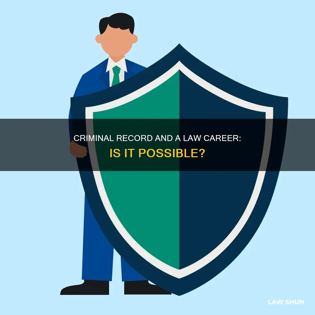 Criminal Record And A Law Career: Is It Possible? | LawShun