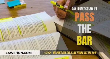 Practicing Law Before Passing The Bar: What You Need To Know | LawShun