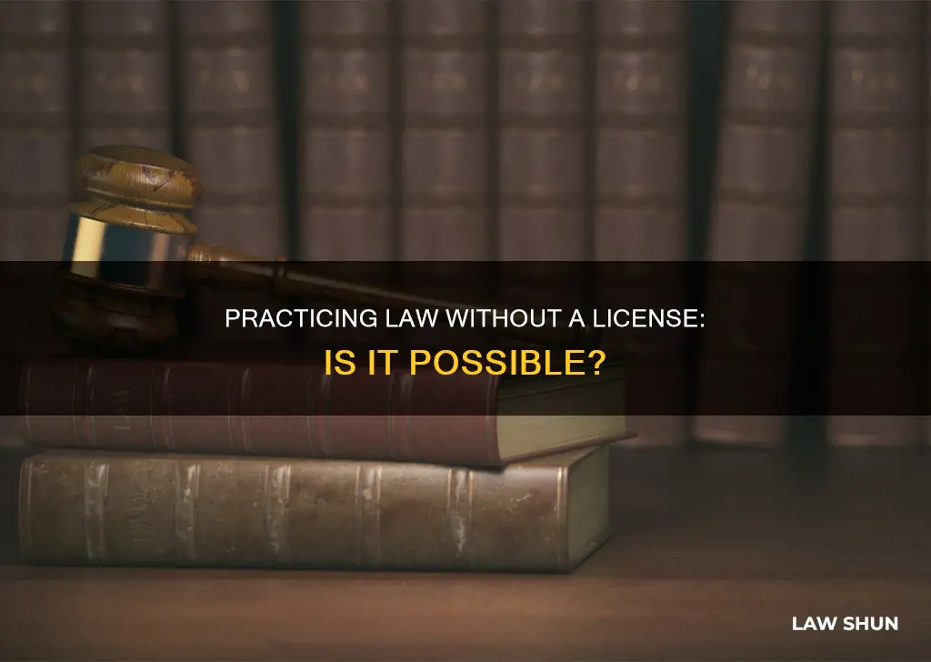 Practicing Law Without A License: Is It Possible? | LawShun