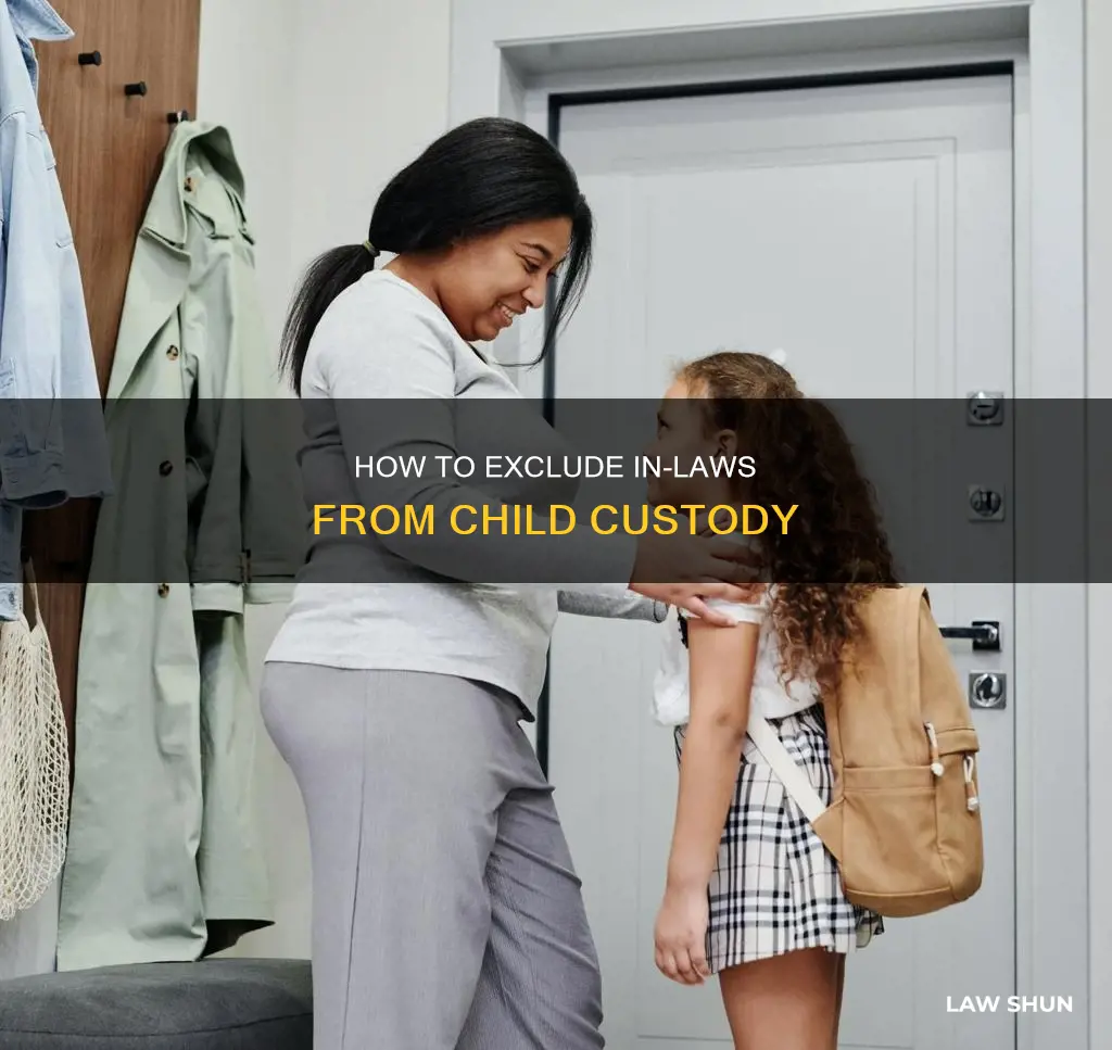How To Exclude In-Laws From Child Custody | LawShun