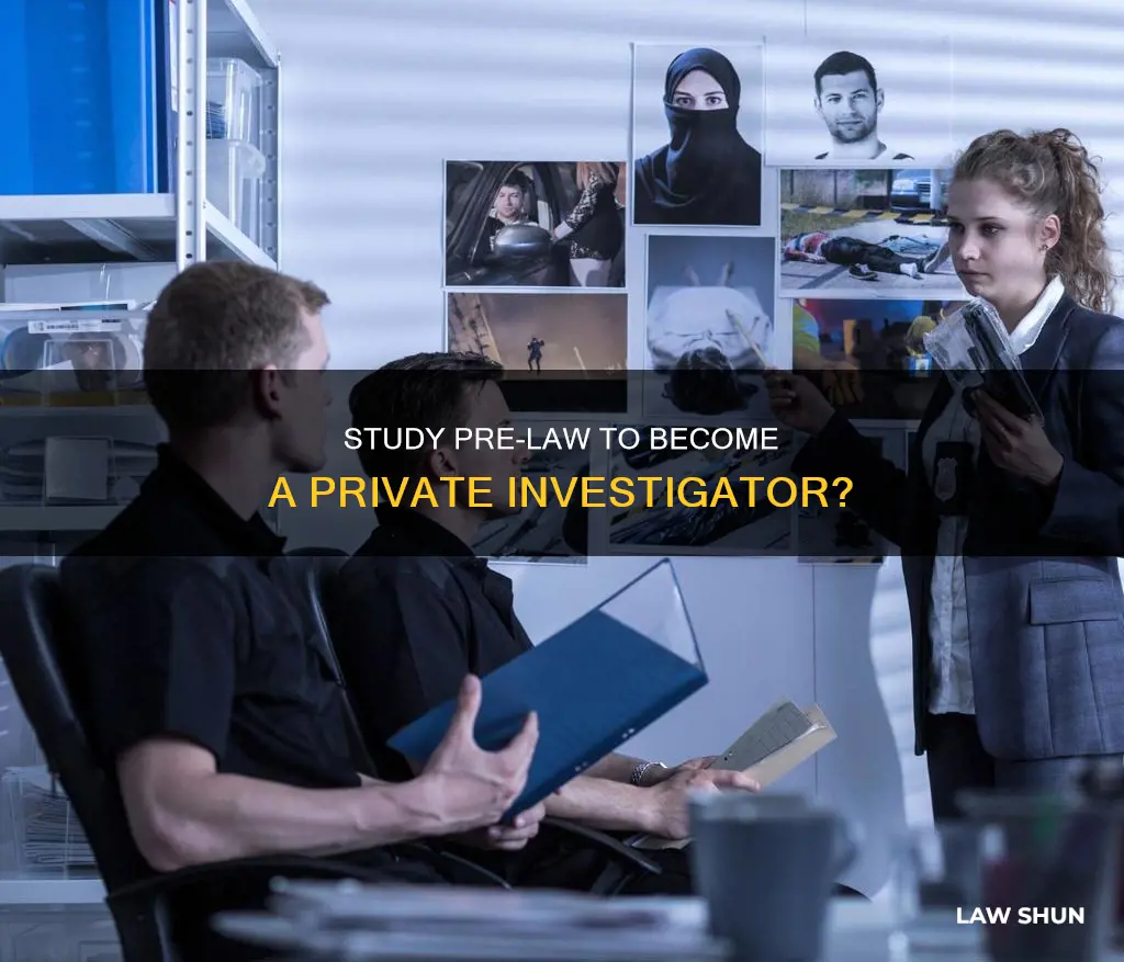 Study Pre-Law To Become A Private Investigator? | LawShun