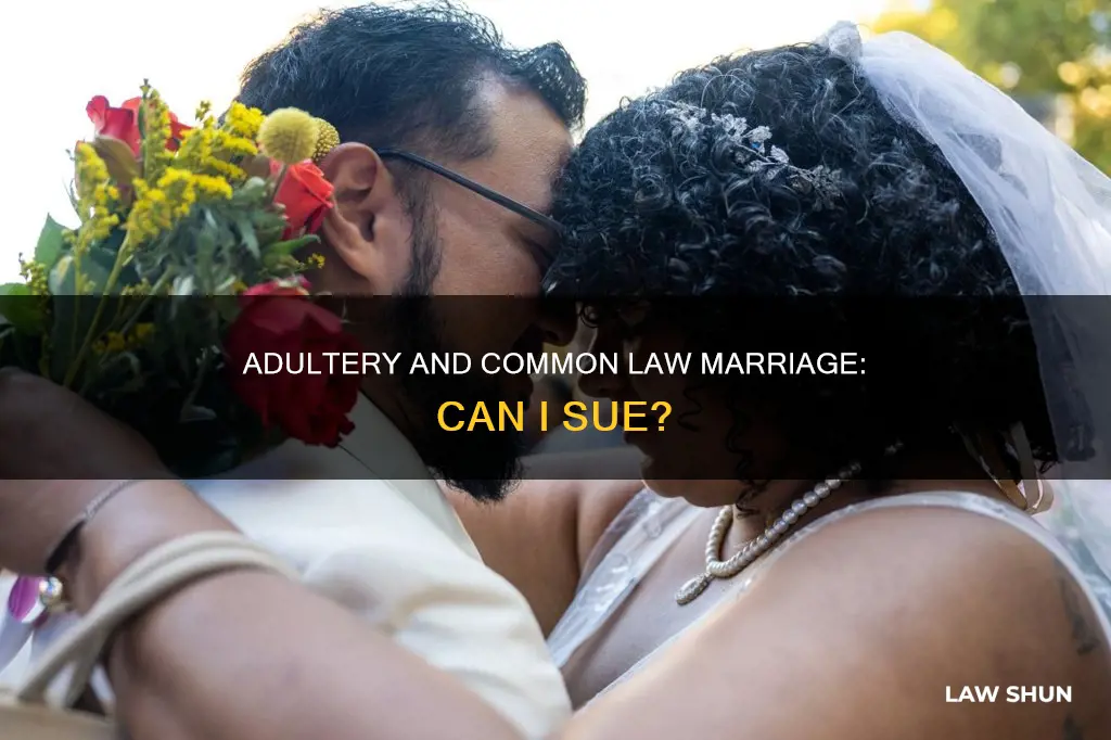 Adultery And Common Law Marriage: Can I Sue? | LawShun