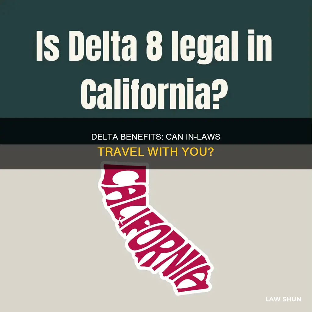 Delta Benefits: Can In-Laws Travel With You? | LawShun