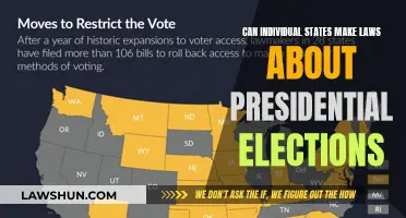 State Vs Federal: Who Makes Election Laws? | LawShun