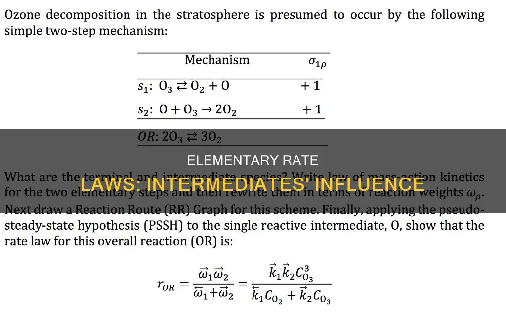 Elementary Rate Laws: Intermediates' Influence | LawShun