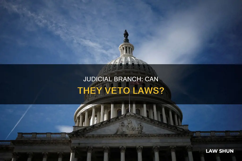 Judicial Branch: Can They Veto Laws? | LawShun
