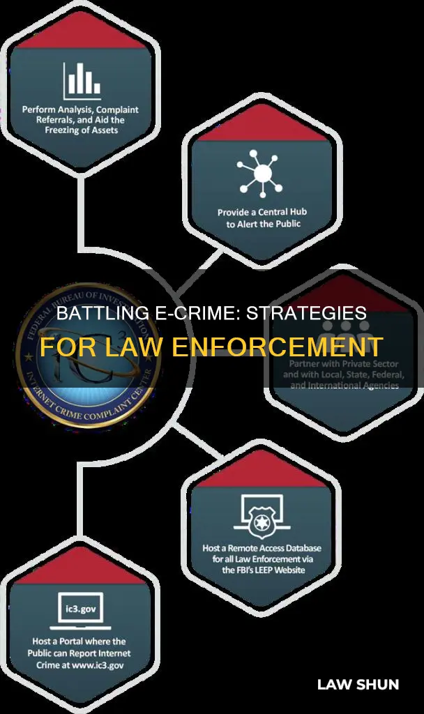 Battling E-Crime: Strategies For Law Enforcement | LawShun