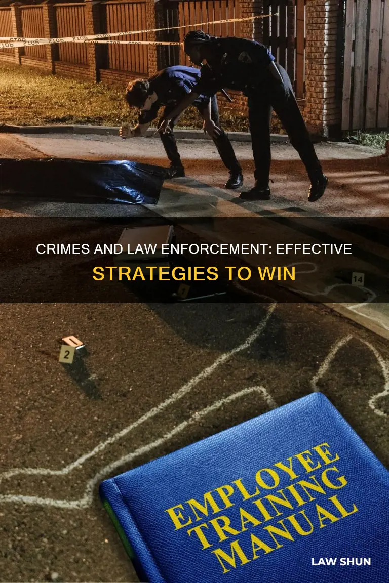 Crimes And Law Enforcement: Effective Strategies To Win | LawShun