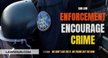 Flying Armed: Law Enforcement's Right To Carry Aboard | LawShun