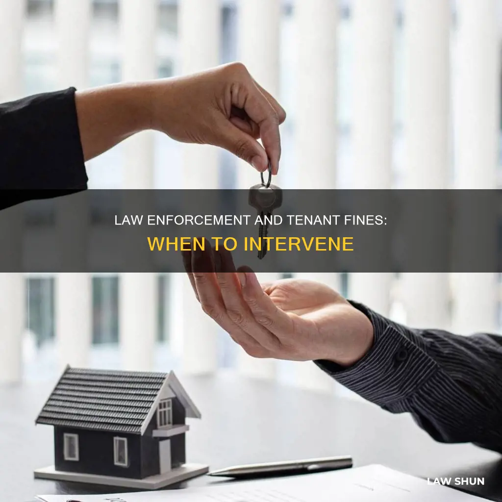 Law Enforcement And Tenant Fines: When To Intervene | LawShun