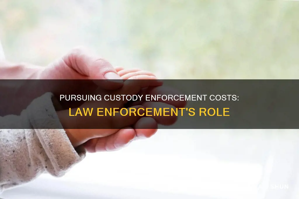 Pursuing Custody Enforcement Costs: Law Enforcement's Role | LawShun