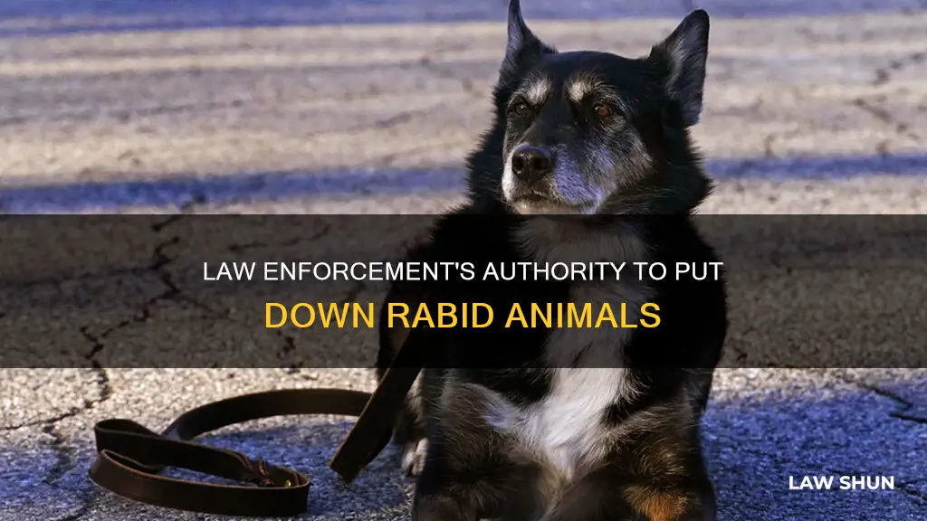 Law Enforcement's Authority To Put Down Rabid Animals | LawShun
