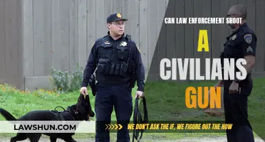 Law Enforcement And Gun Use: When Can They Shoot? | LawShun