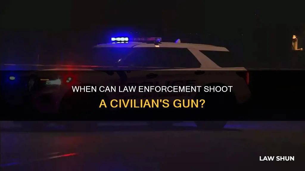 When Can Law Enforcement Shoot A Civilian's Gun? | LawShun