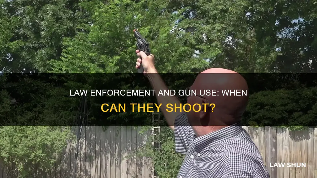 Law Enforcement And Gun Use: When Can They Shoot? | LawShun
