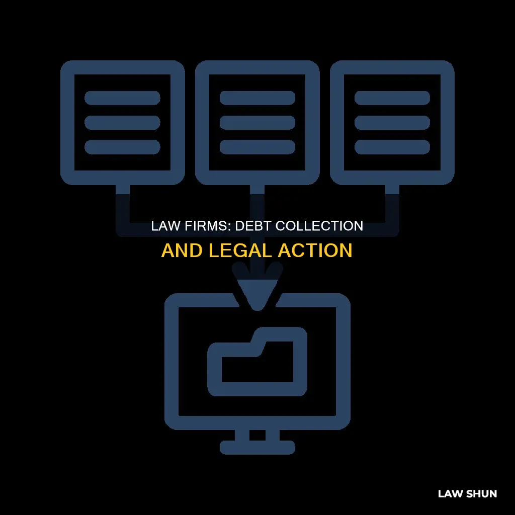 Law Firms: Debt Collection And Legal Action | LawShun