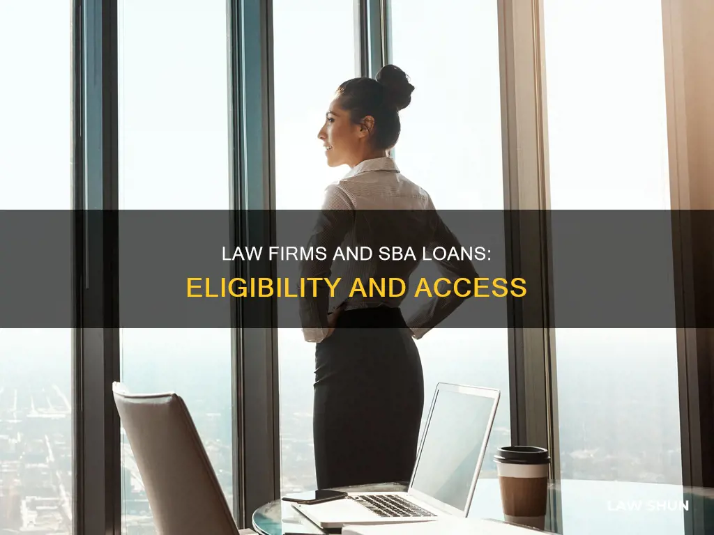 Law Firms And Sba Loans: Eligibility And Access | LawShun