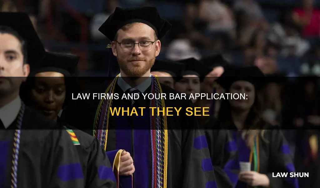 Law Firms And Your Bar Application: What They See | LawShun