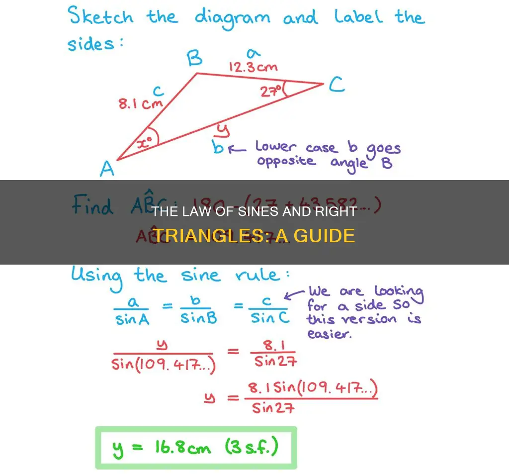 The Law Of Sines And Right Triangles: A Guide | LawShun