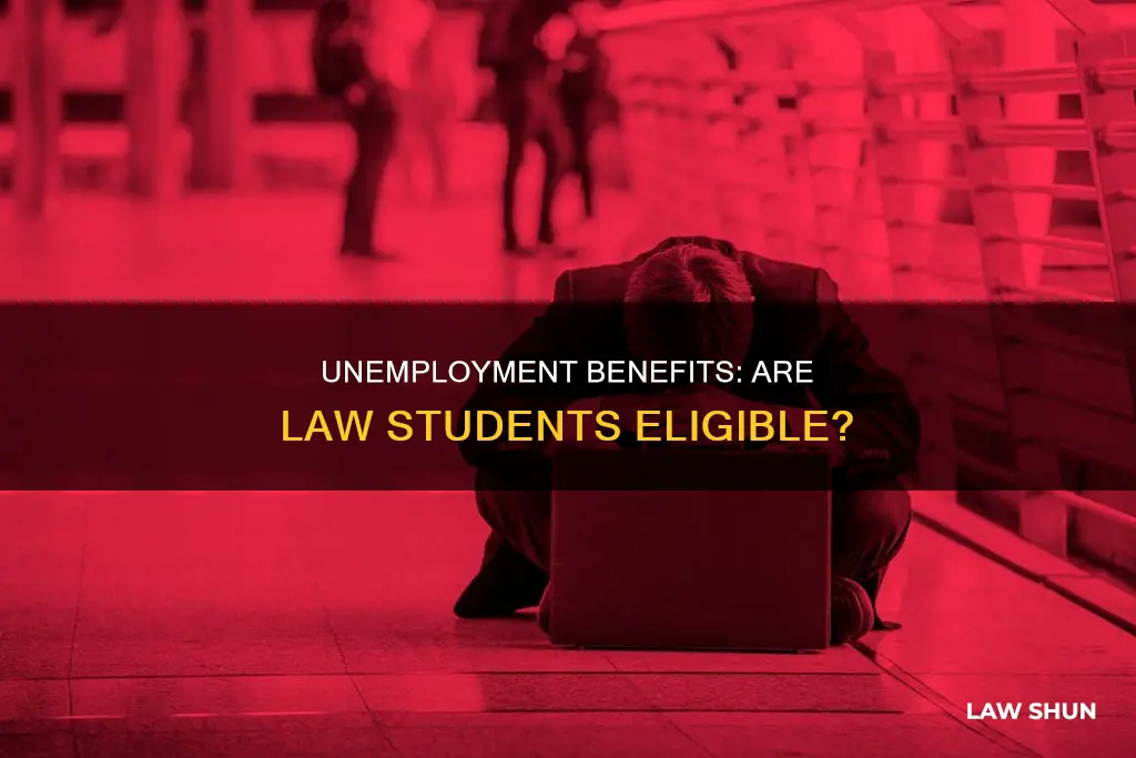 Unemployment Benefits: Are Law Students Eligible? | LawShun