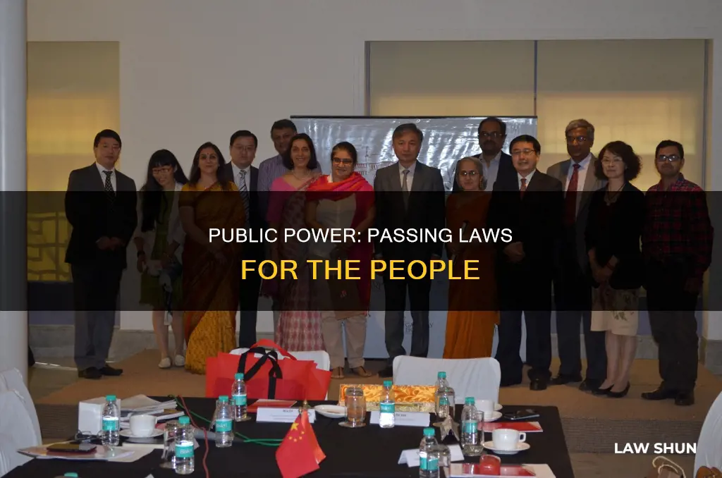 Public Power: Passing Laws For The People | LawShun