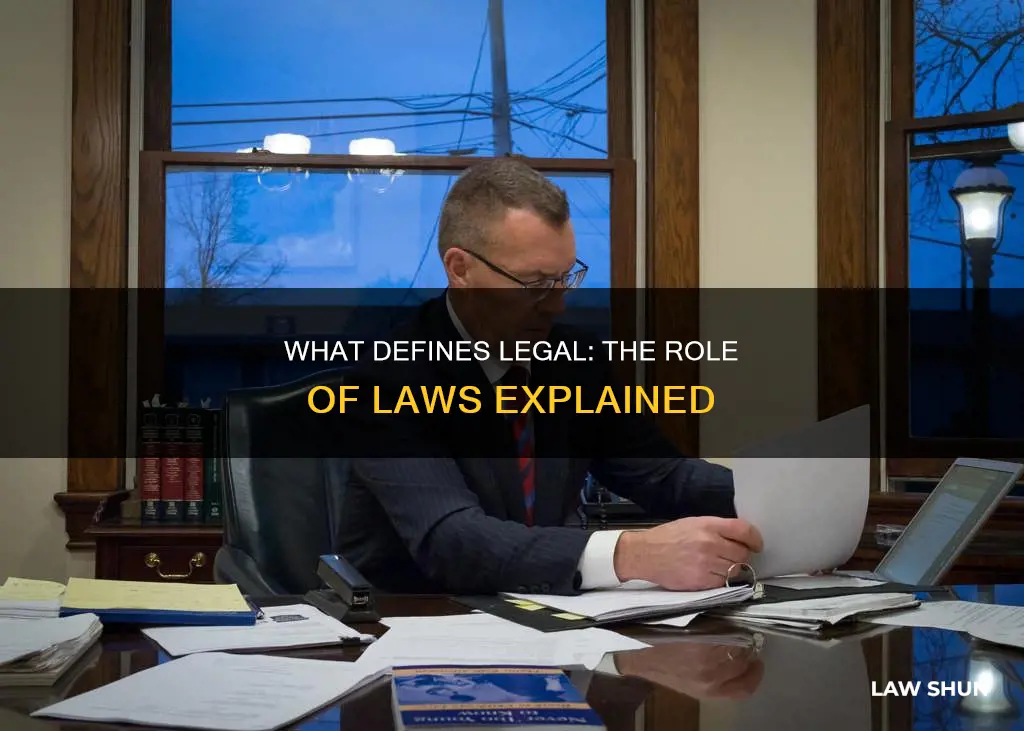 What Defines Legal: The Role Of Laws Explained | LawShun
