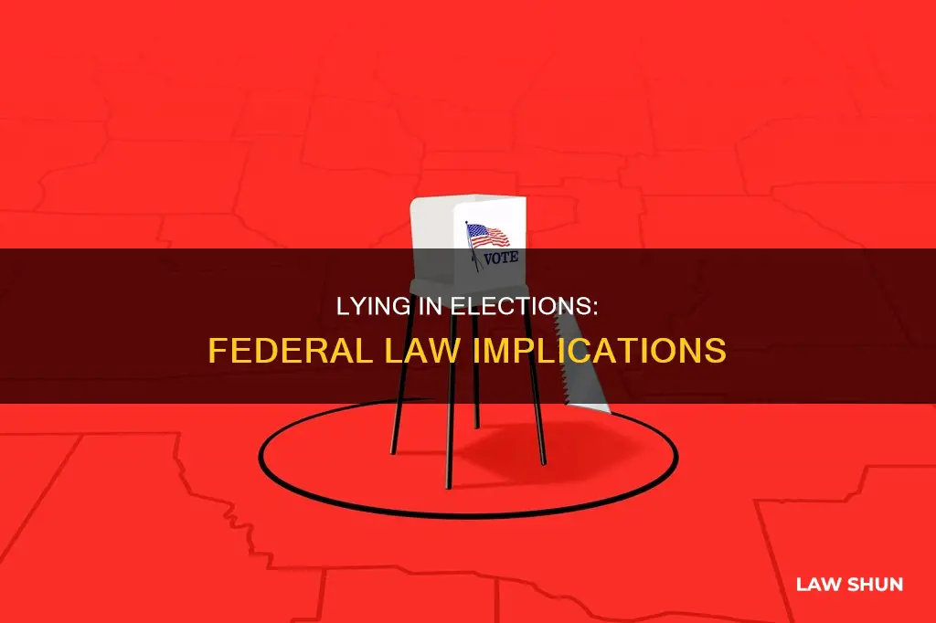 Lying In Elections: Federal Law Implications | LawShun