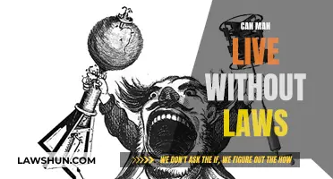 Local Police Vs Federal Laws: Who Has Jurisdiction? | LawShun