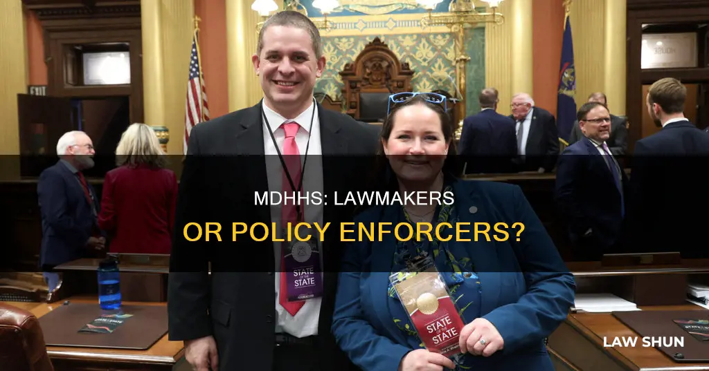 Mdhhs: Lawmakers Or Policy Enforcers? | LawShun