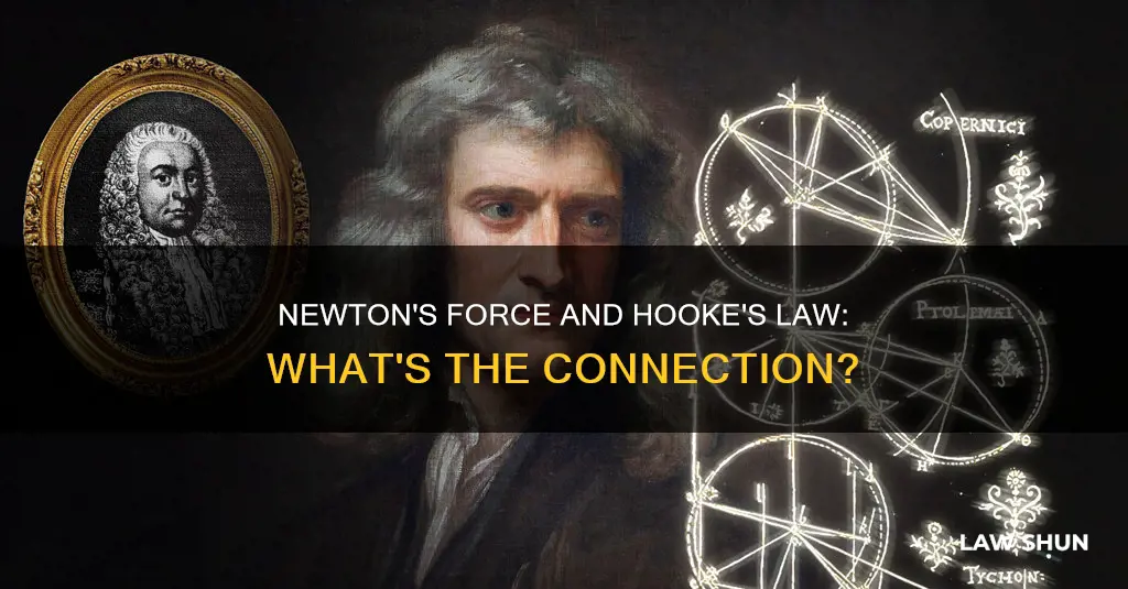 Newton's Force And Hooke's Law: What's The Connection? | LawShun