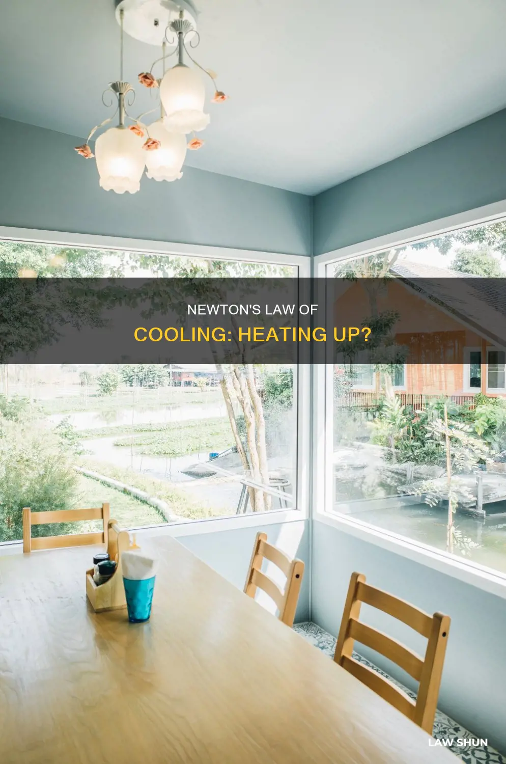 Newton's Law Of Cooling: Heating Up? | LawShun