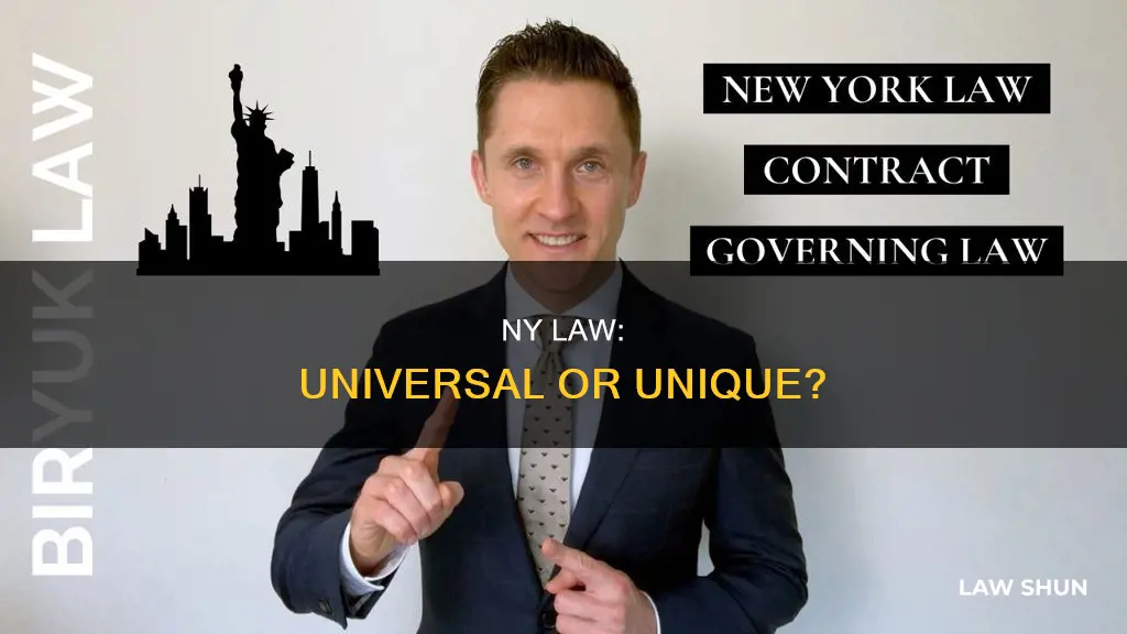 Ny Law: Universal Or Unique? | LawShun