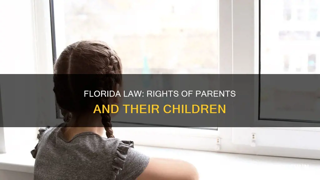 Florida Law: Rights Of Parents And Their Children | LawShun