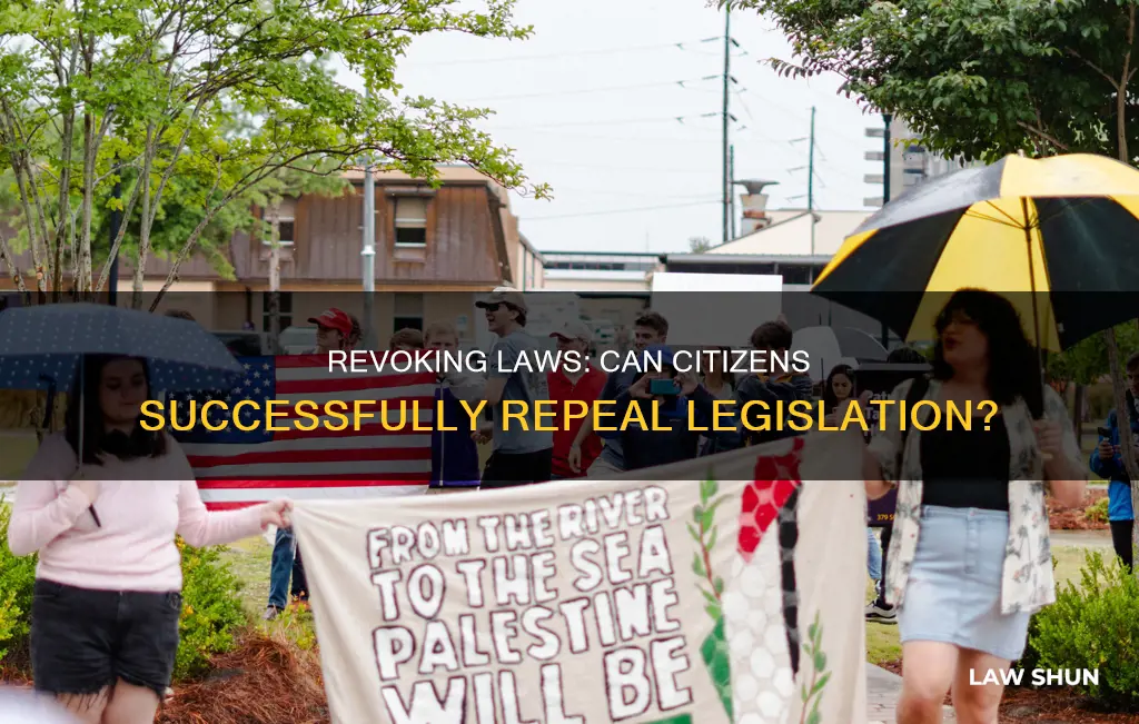 Revoking Laws: Can Citizens Successfully Repeal Legislation? | LawShun