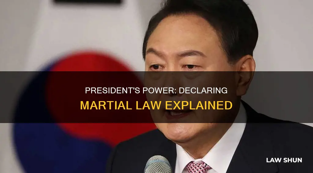 President's Power: Declaring Martial Law Explained | LawShun
