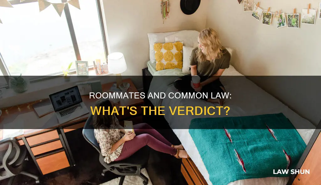 Roommates And Common Law: What's The Verdict? | LawShun