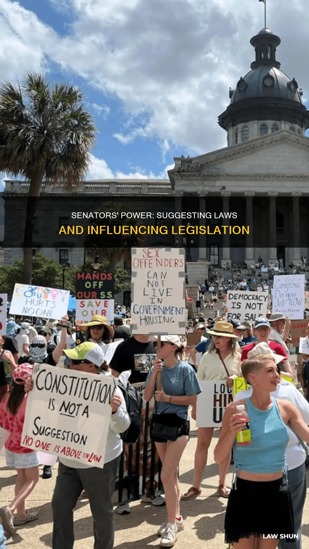 Senators' Power: Suggesting Laws And Influencing Legislation | LawShun