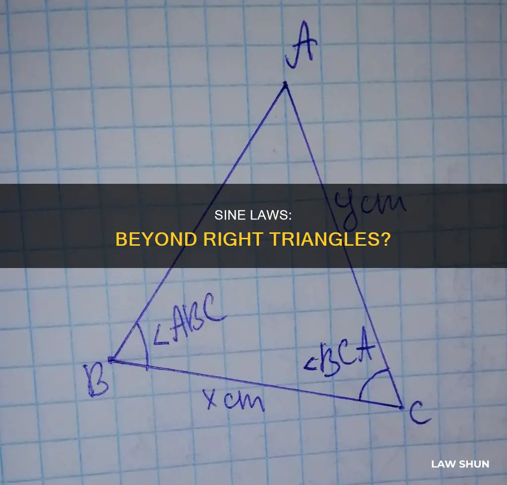 Sine Laws: Beyond Right Triangles? | LawShun