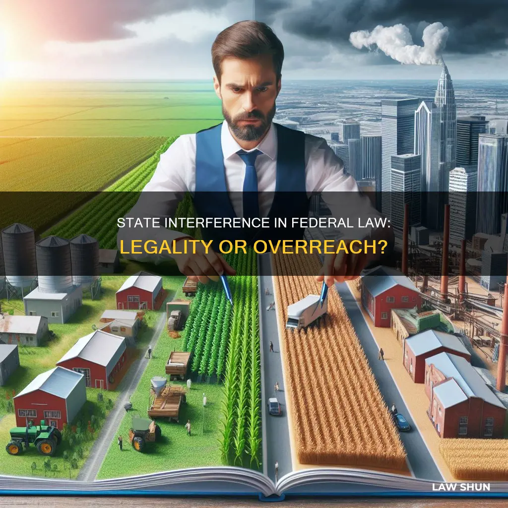 State Interference In Federal Law: Legality Or Overreach? | LawShun