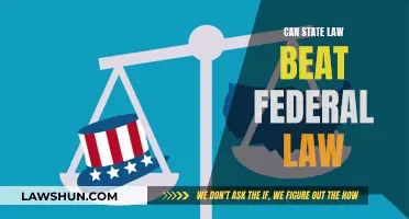 State Vs Federal Law: What's The Difference? | LawShun