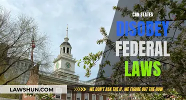 How States Influence Federal Lawmaking And Policy Changes | LawShun