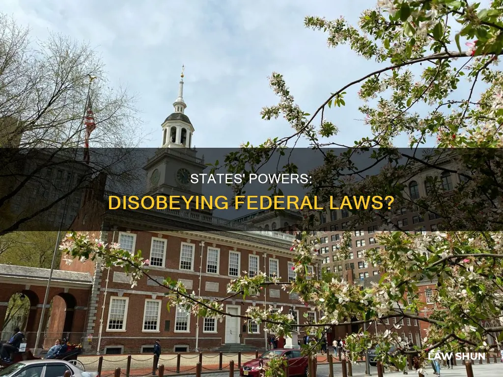 States' Powers: Disobeying Federal Laws? | LawShun