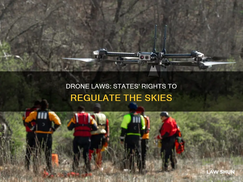 Drone Laws: States' Rights To Regulate The Skies | LawShun