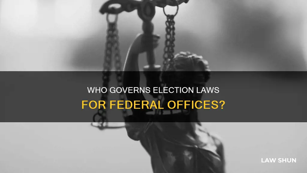 Who Governs Election Laws For Federal Offices? | LawShun
